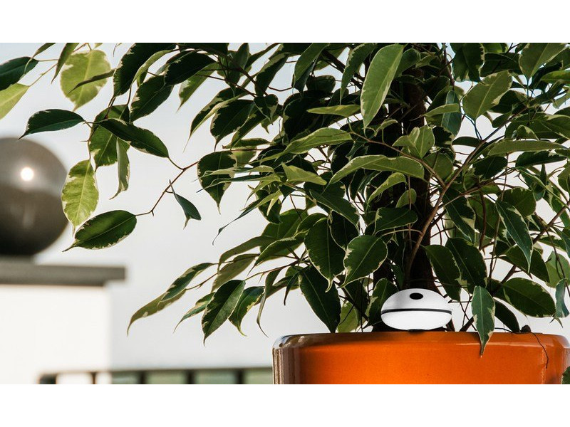 Koubachi Wi-Fi Plant Sensor Outdoor hos Loh Electronics AB